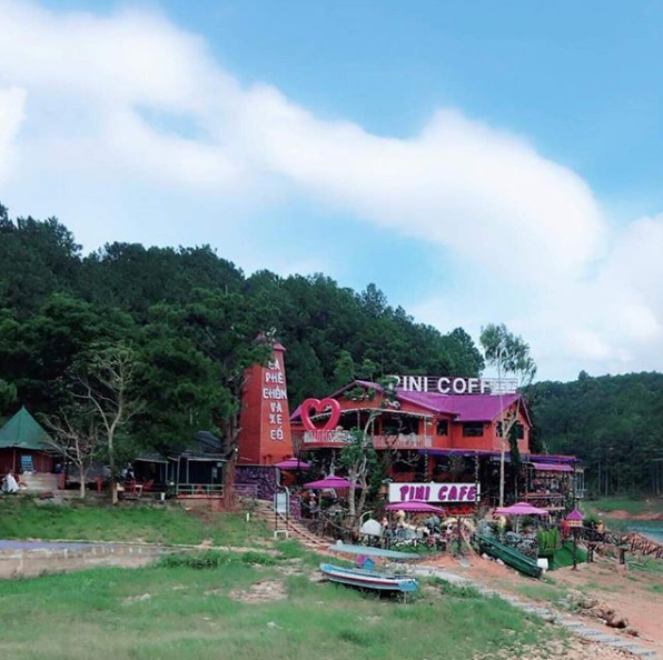 Pini Coffee Đà Lạt | Review Cafe Đà Lạt | Du Lịch Đà Lạt