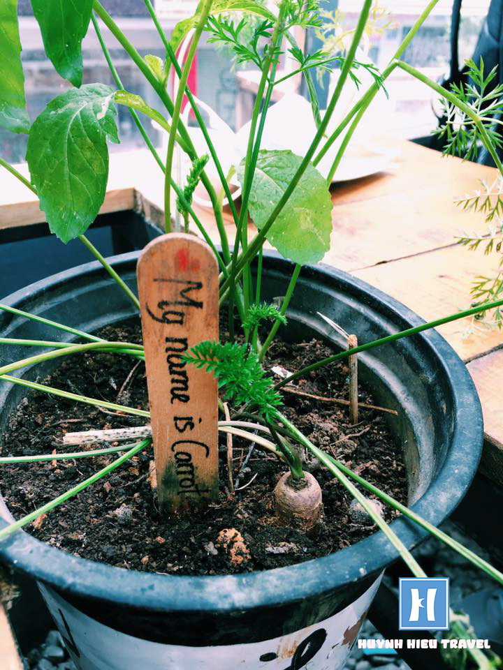 An Cafe Đà Lạt | Review quán cafe Đà Lạt | Huynh Hieu Travel